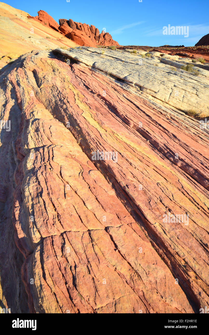 Colorful wavy sandstone shapes, and dunes in Valley of Fire State Park ...