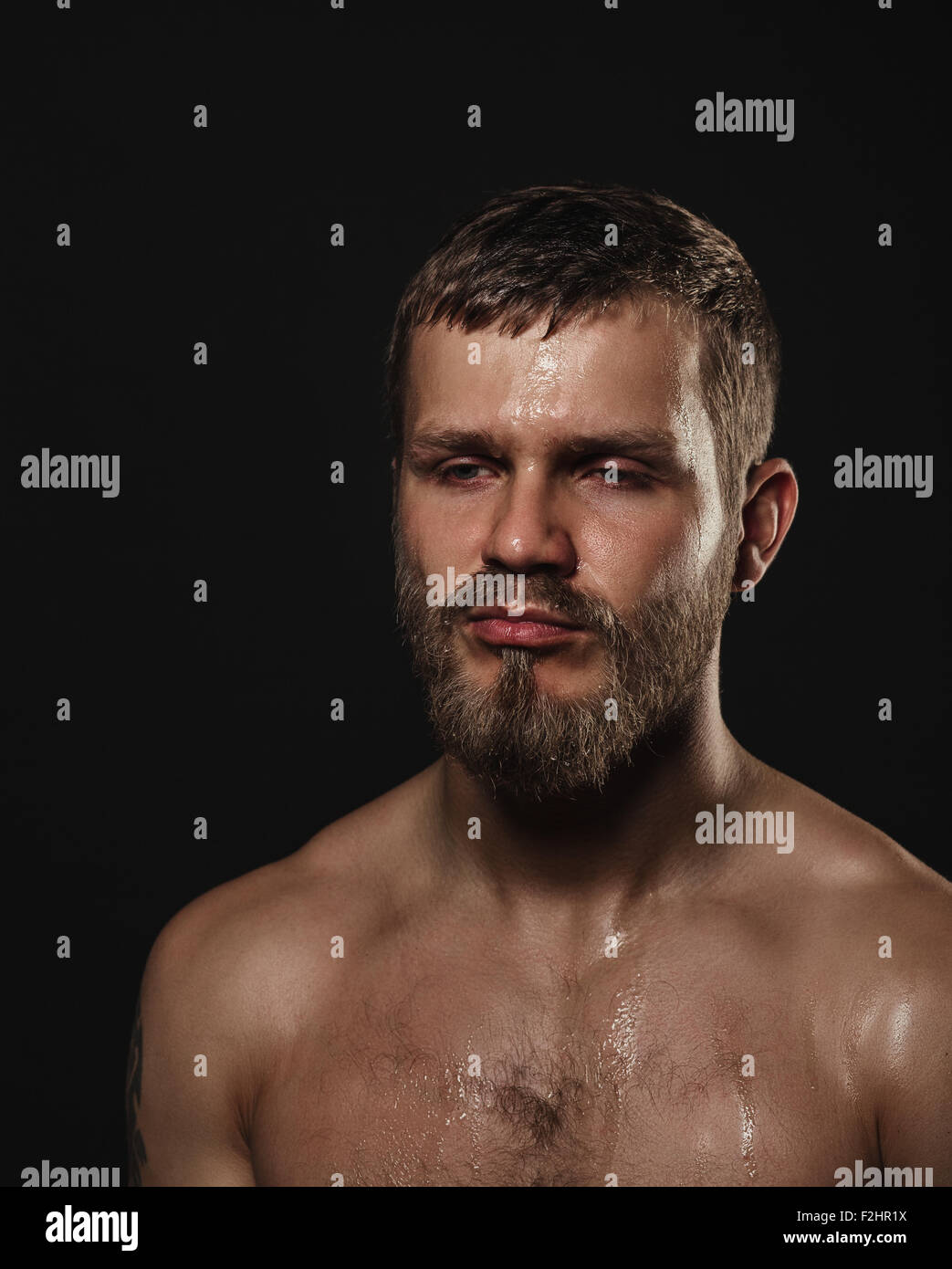 Black and white boxer hi-res stock photography and images - Alamy