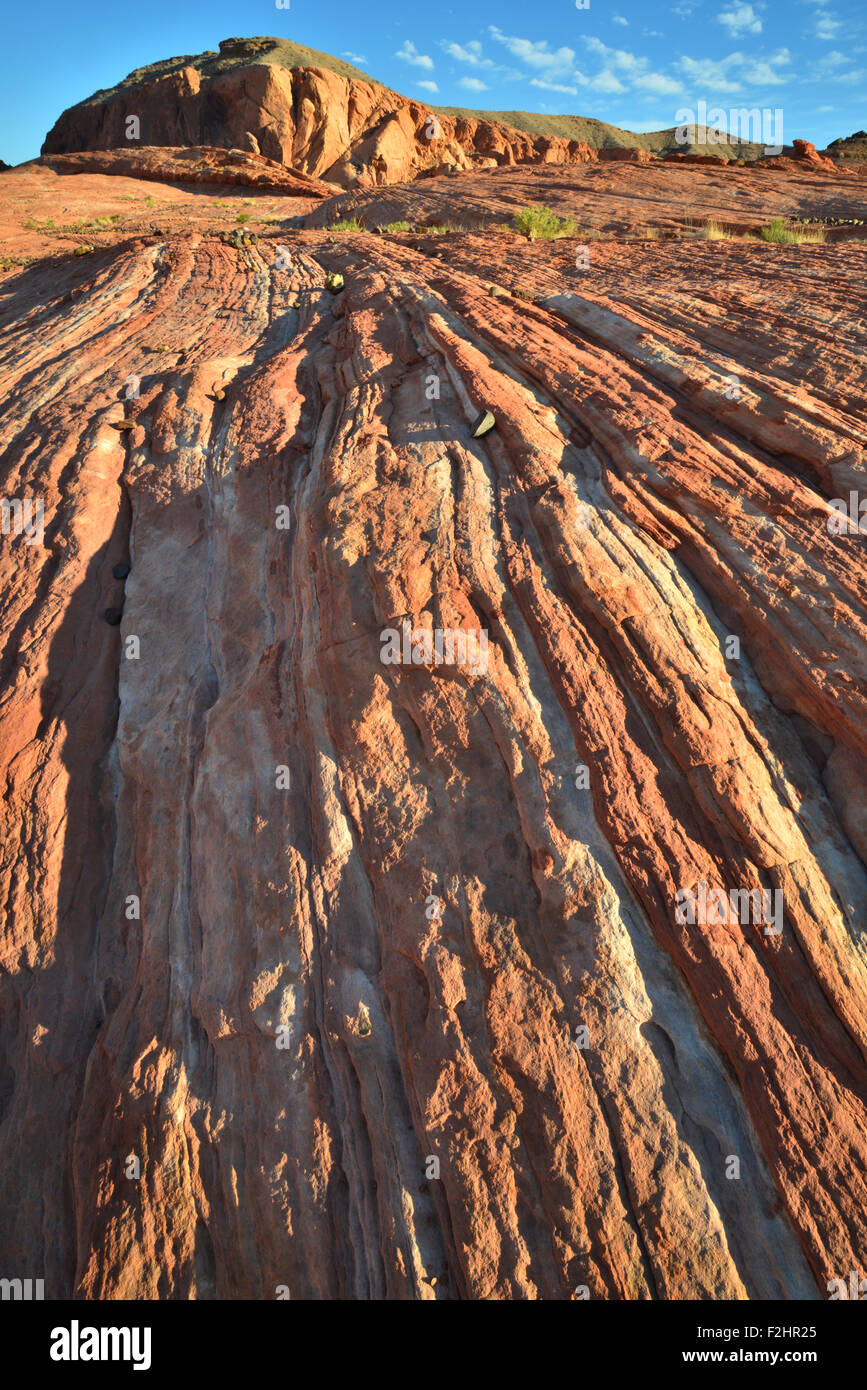 Colorful wavy sandstone shapes, and dunes in Valley of Fire State Park ...