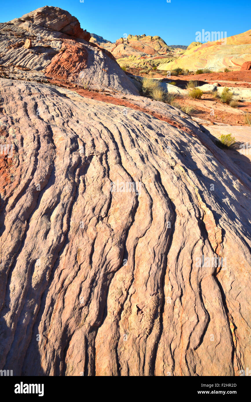 Colorful wavy sandstone shapes hi-res stock photography and images - Alamy