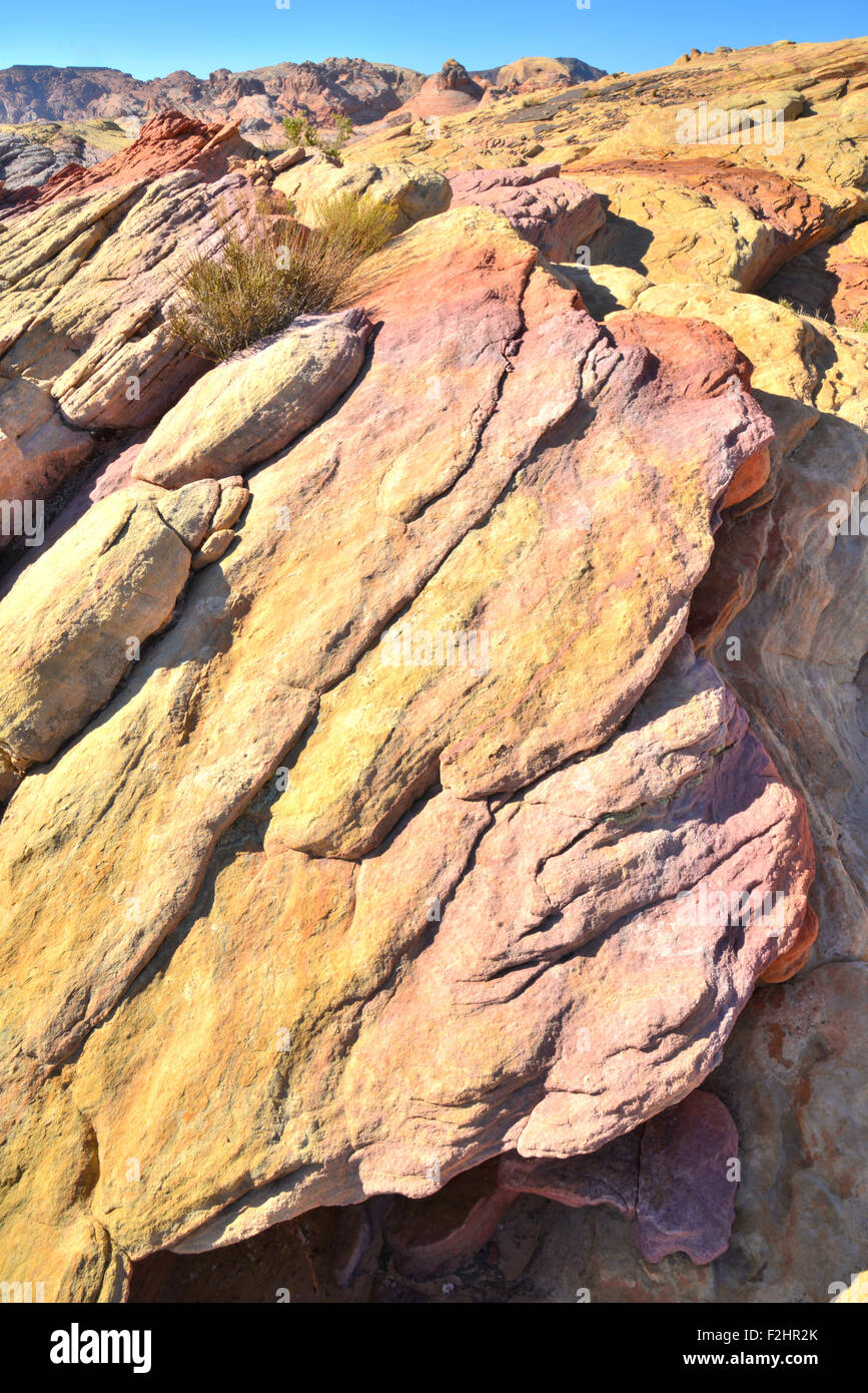 Colorful wavy sandstone shapes, and dunes in Valley of Fire State Park ...