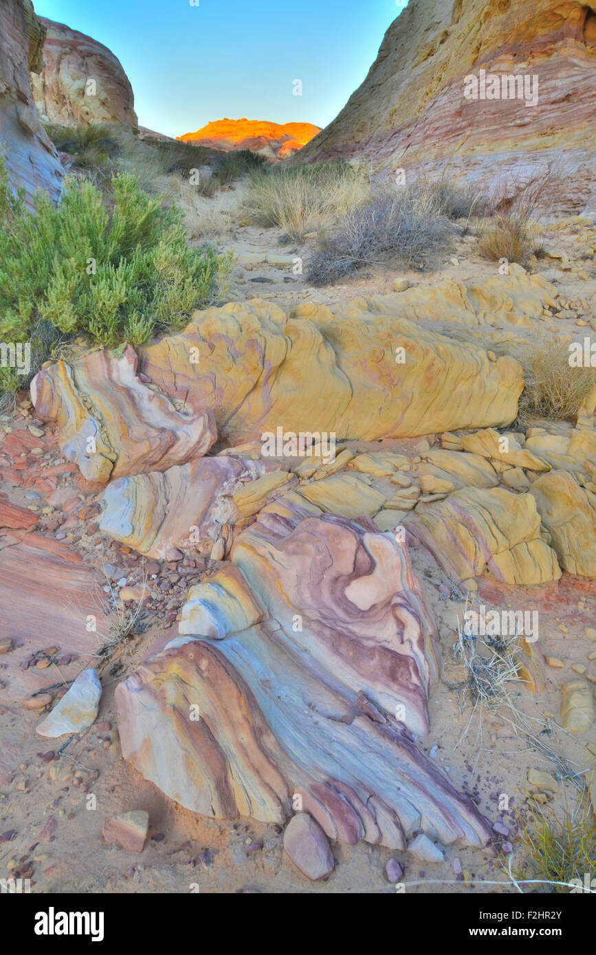 Colorful wavy sandstone shapes, and dunes in Valley of Fire State Park ...