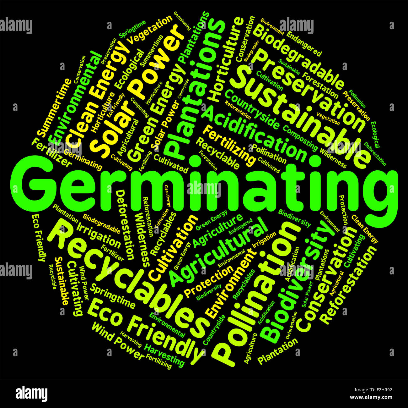 Germinating Word Showing Sows Farm And Cultivates Stock Photo - Alamy