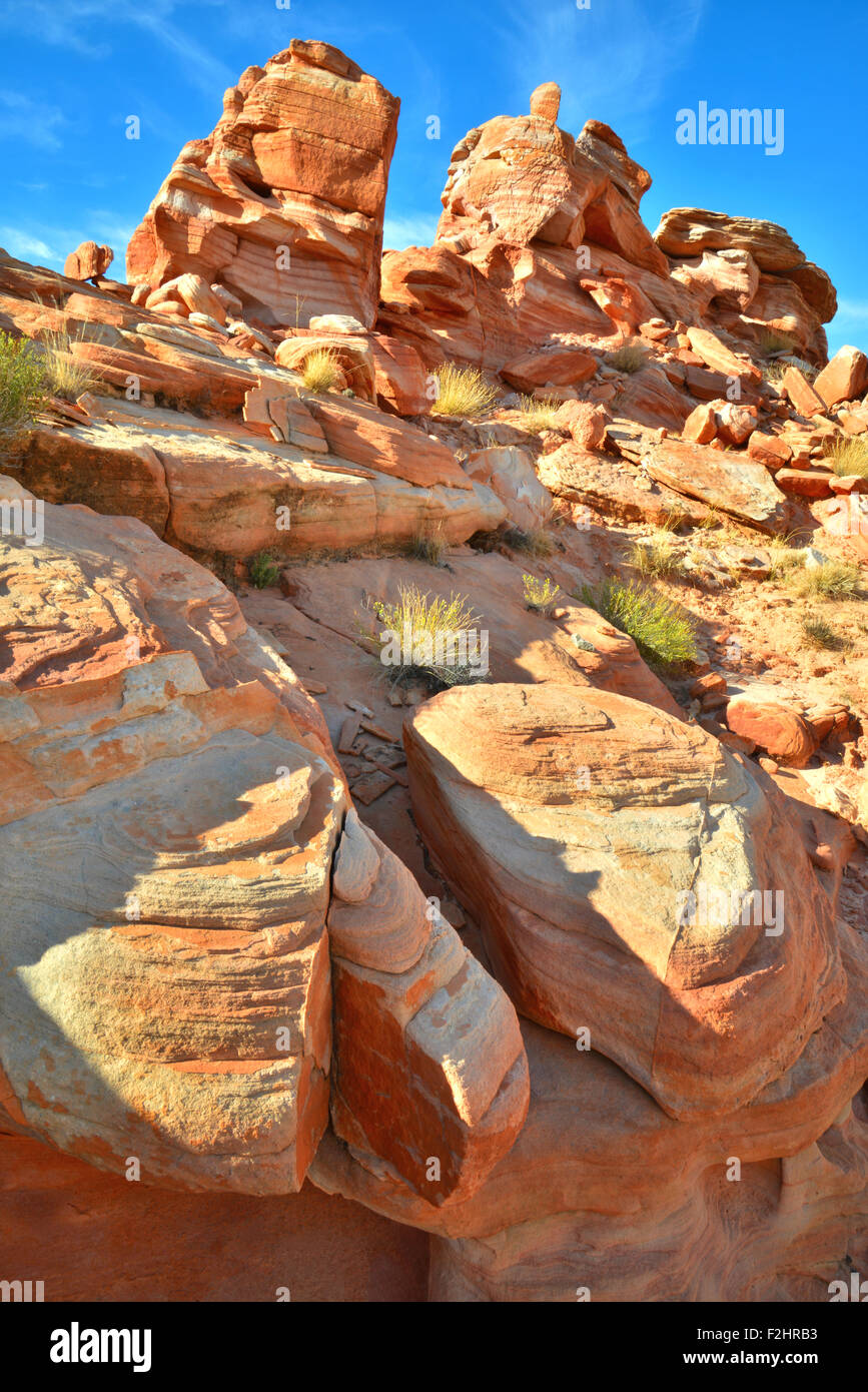 Colorful wavy sandstone shapes, and dunes in Valley of Fire State Park ...