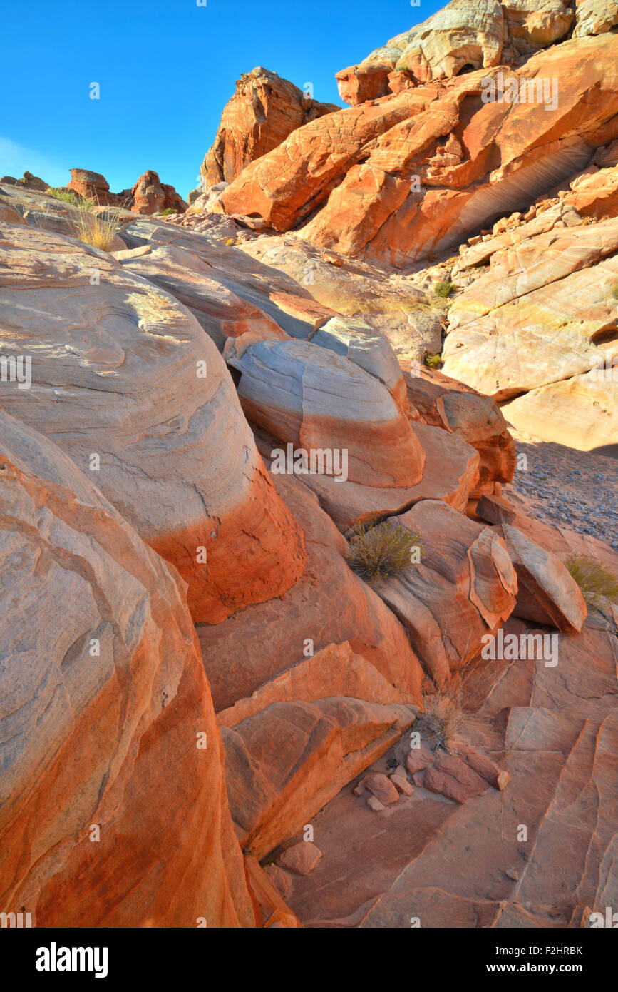 Colorful wavy sandstone shapes hi-res stock photography and images - Alamy