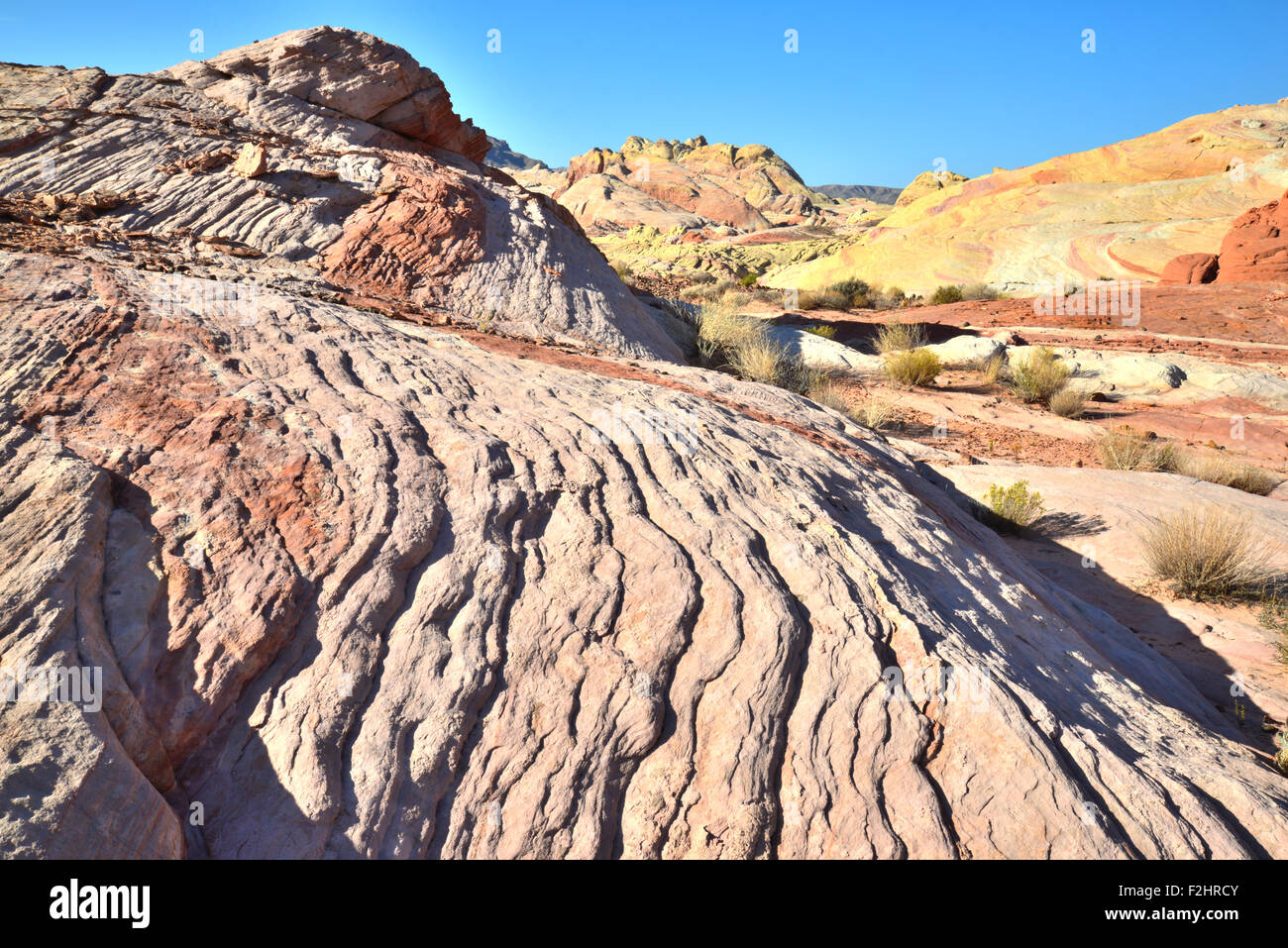 Colorful wavy sandstone shapes, and dunes in Valley of Fire State Park ...