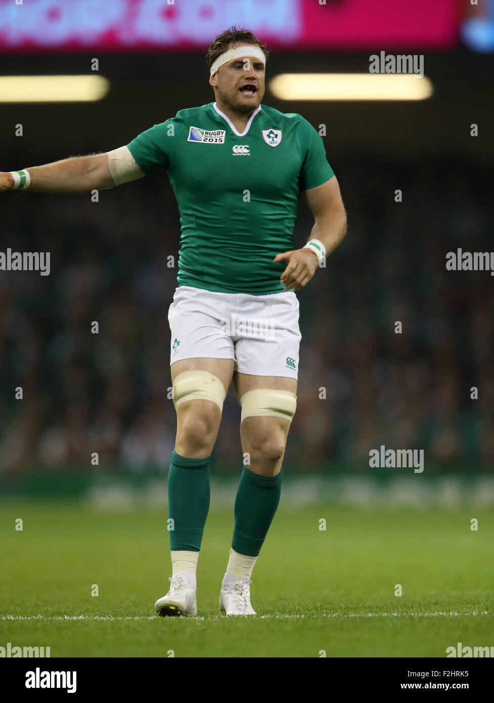 Cardiff, Wales, UK. 19th September, 2015. Jamie Heaslip Ireland Ireland ...