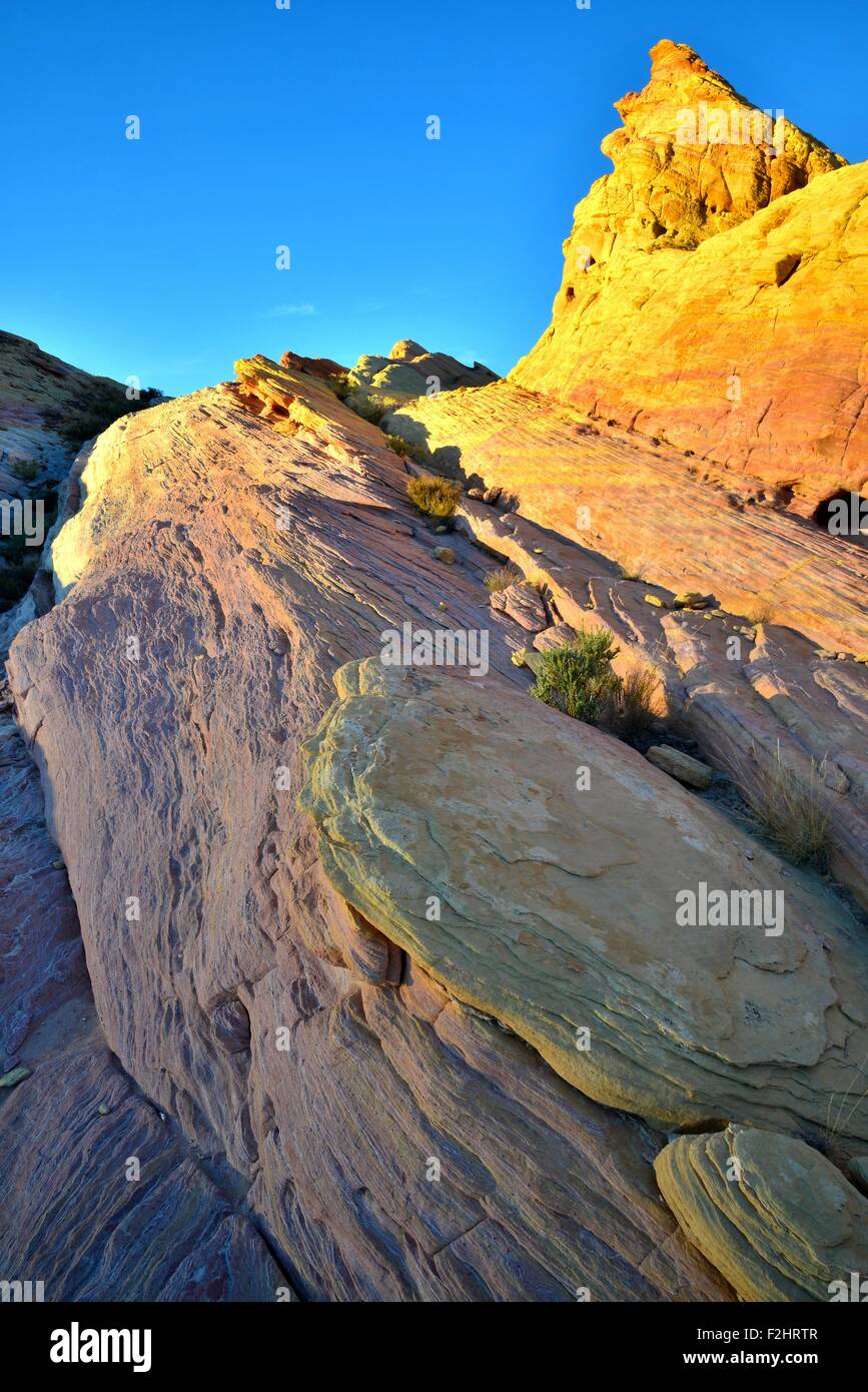 Colorful wavy sandstone shapes, and dunes in Valley of Fire State Park ...