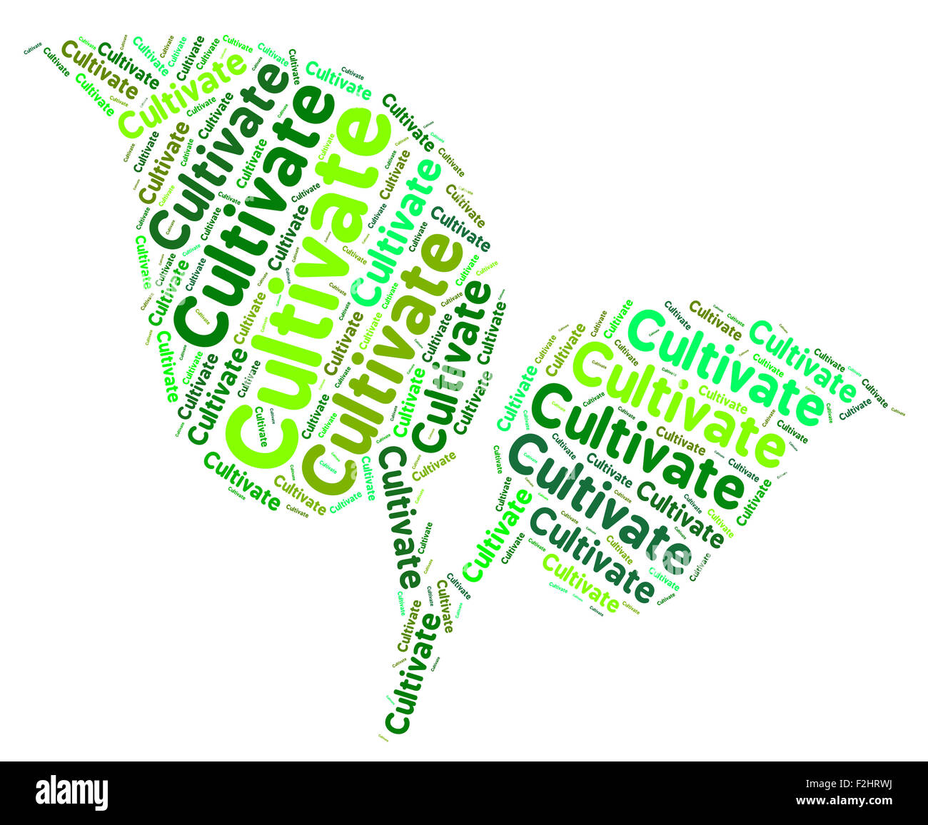 Cultivate Cut Out Stock Images & Pictures - Alamy