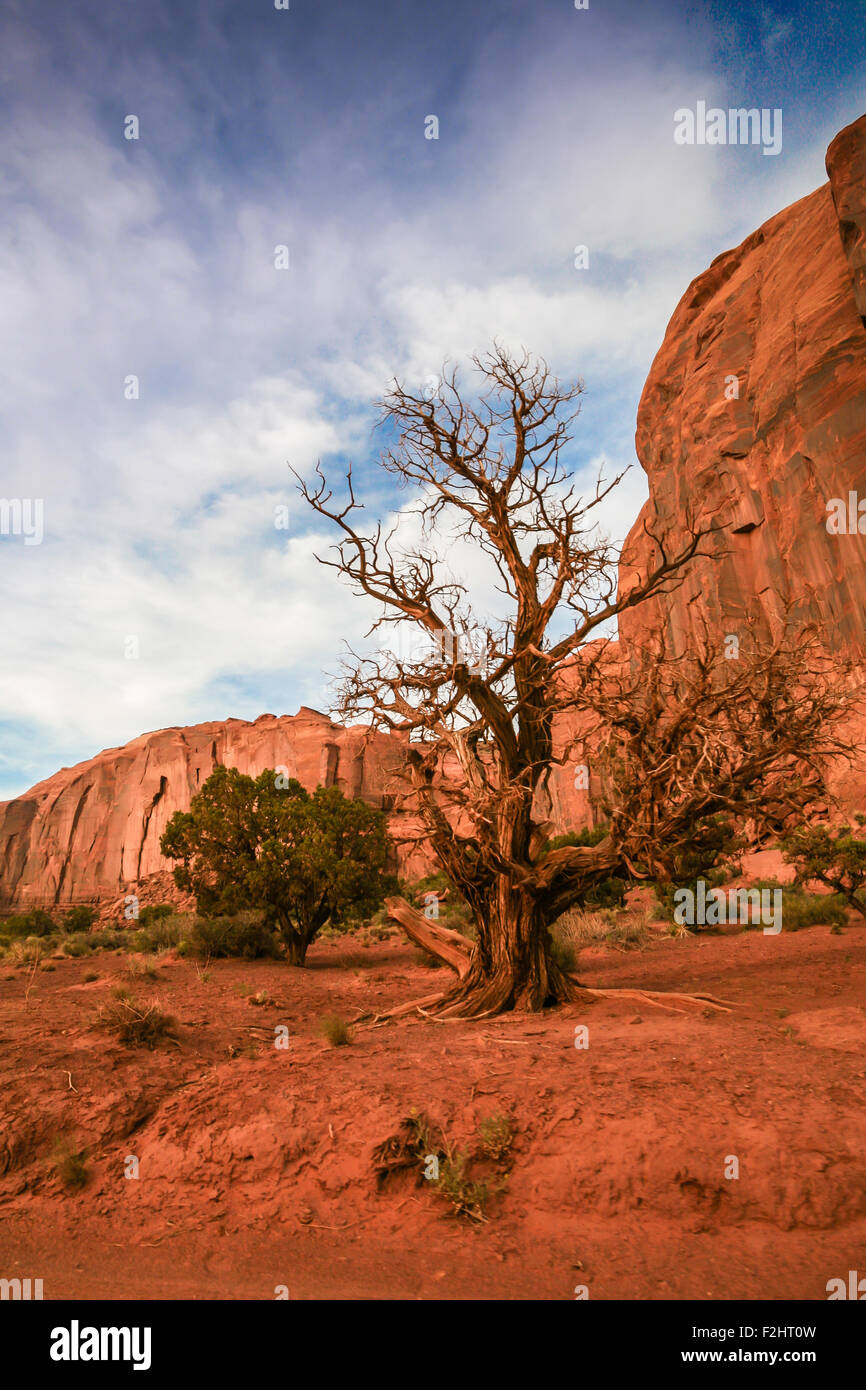 wild wild west Stock Photo - Alamy