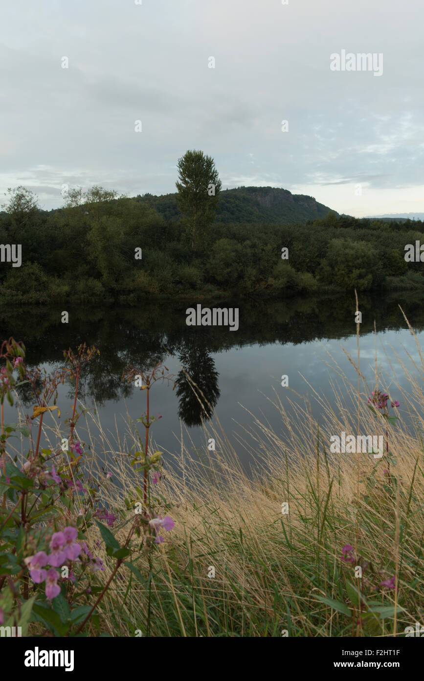 River tay moncrieffe island hi-res stock photography and images - Alamy