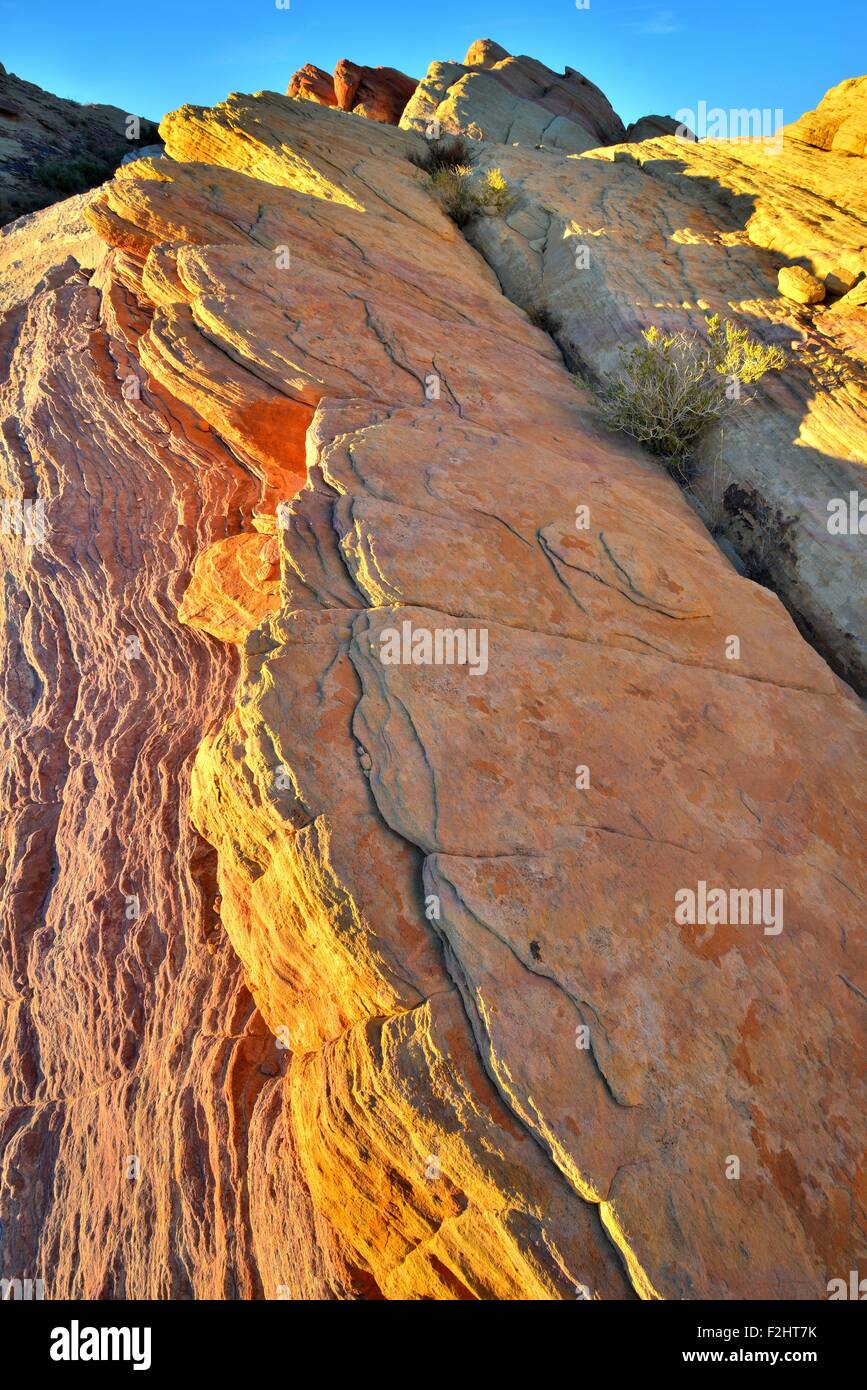 Colorful wavy sandstone shapes, and dunes in Valley of Fire State Park ...