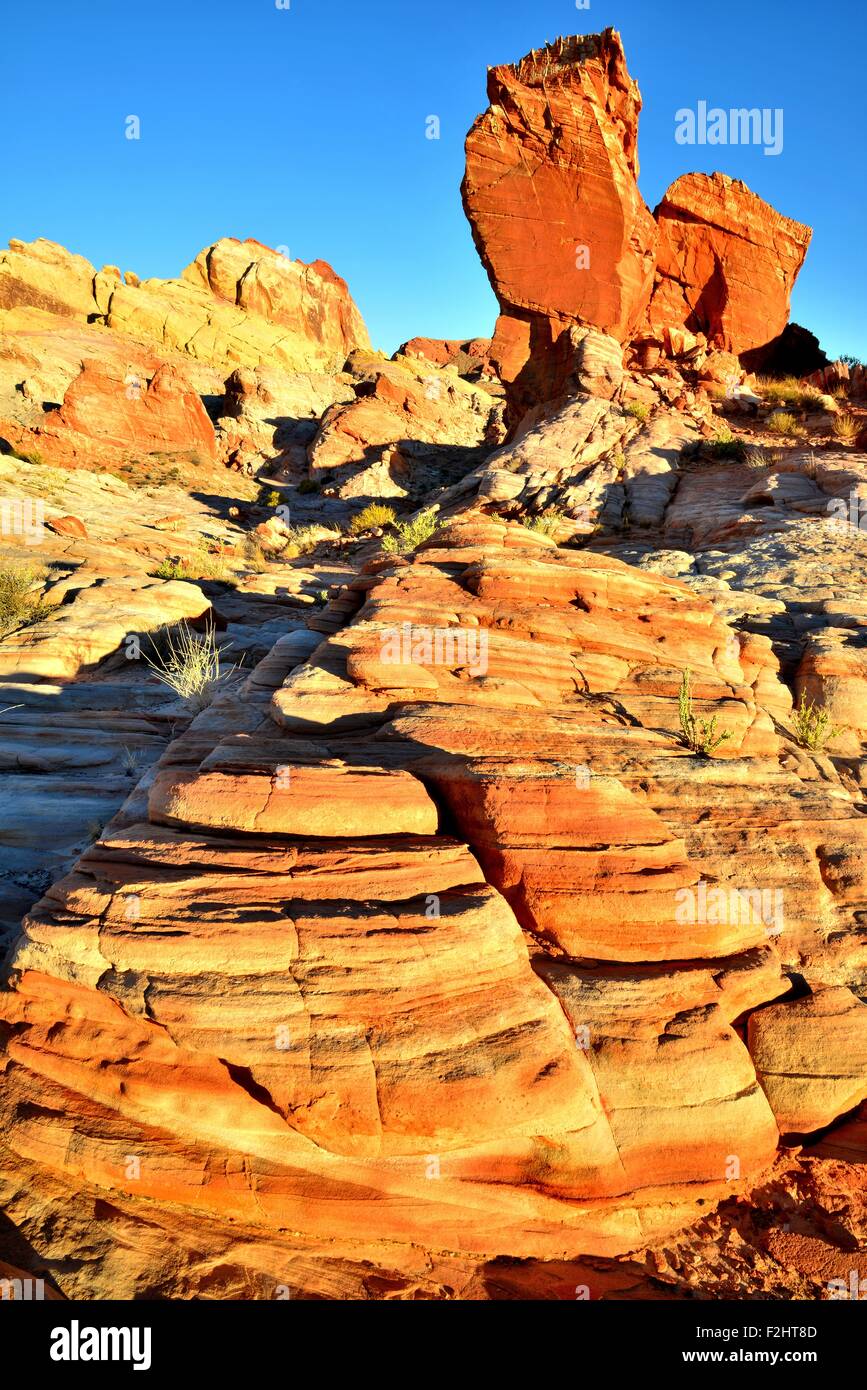 Colorful wavy sandstone shapes hi-res stock photography and images - Alamy