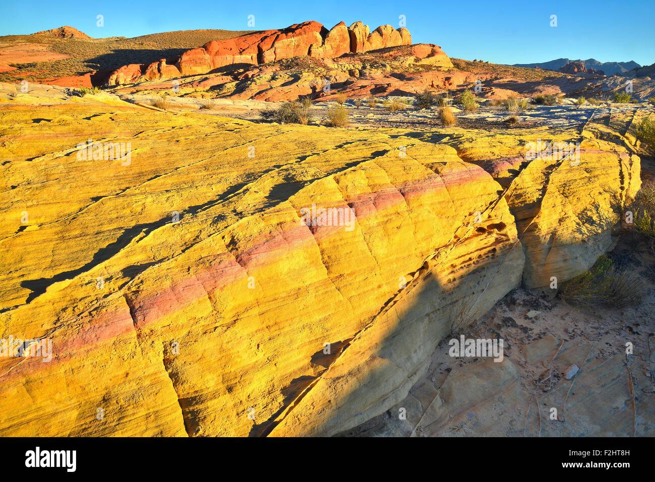 Colorful wavy sandstone shapes, and dunes in Valley of Fire State Park ...