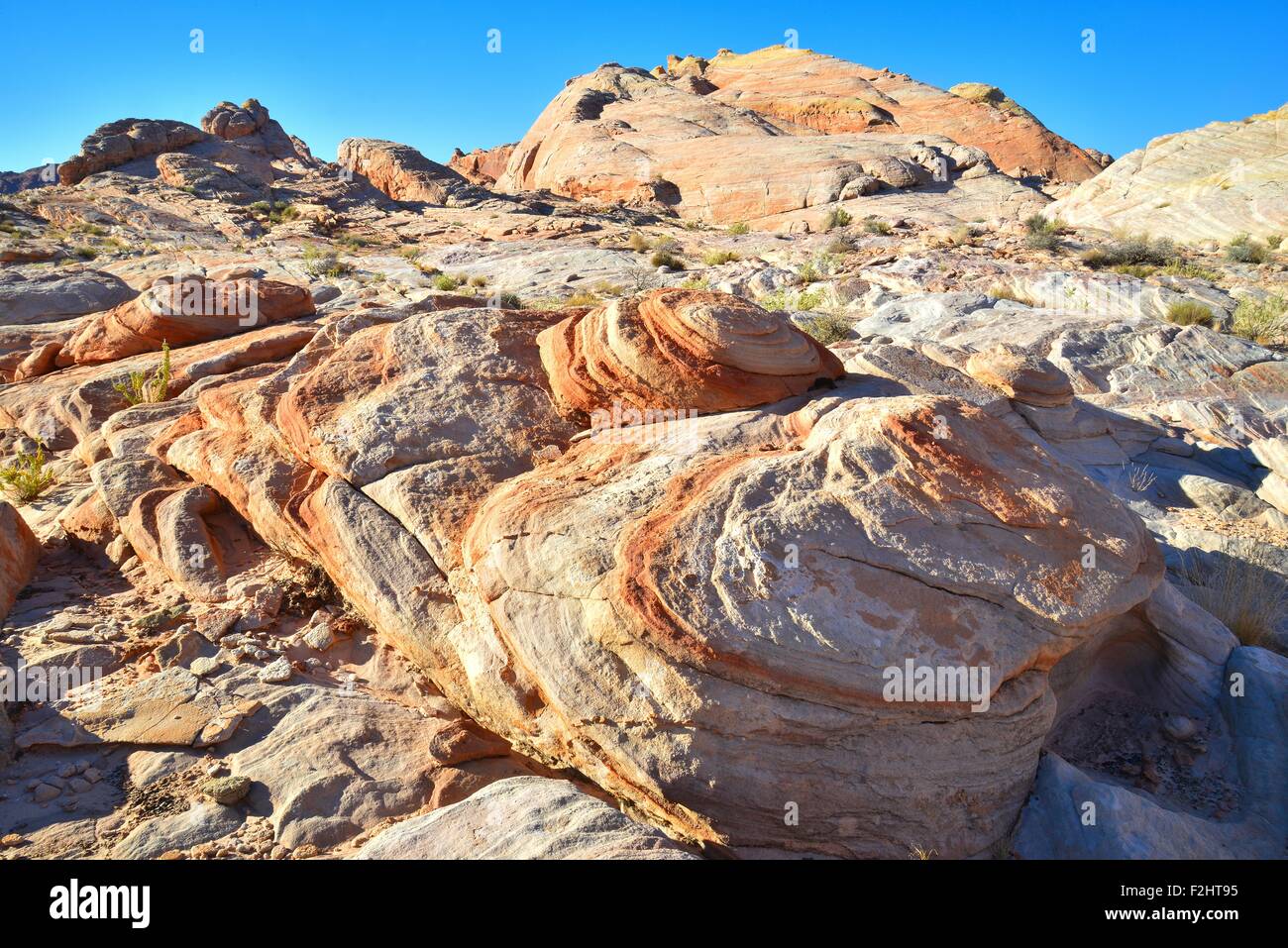 Colorful wavy sandstone shapes, and dunes in Valley of Fire State Park ...