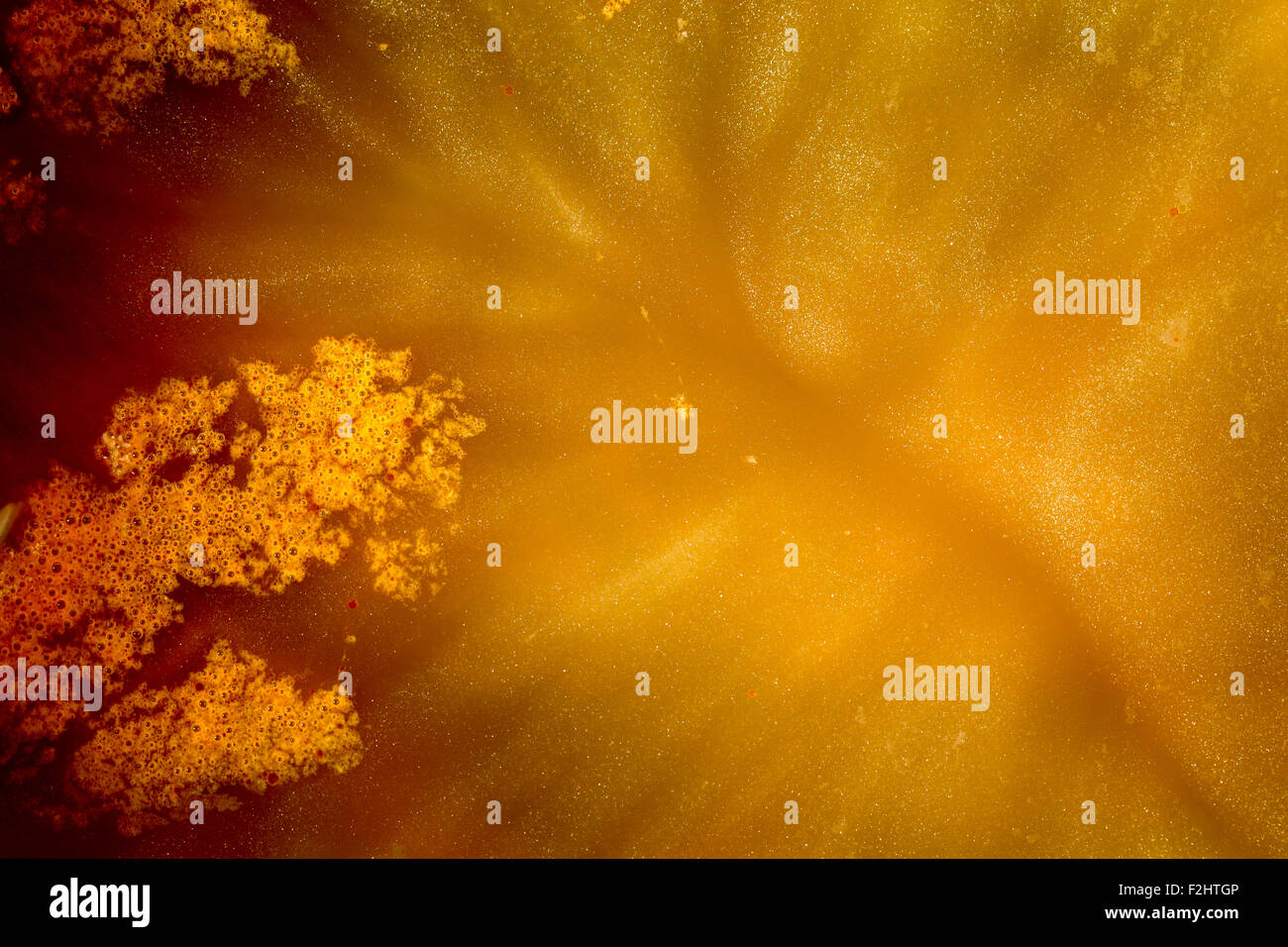 Greasy greasy hi-res stock photography and images - Alamy