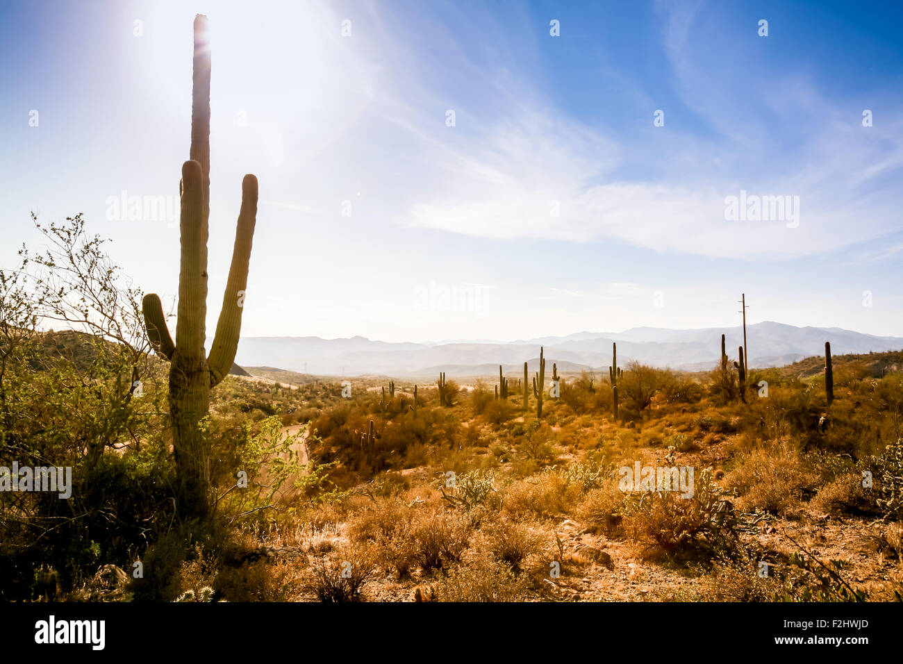 the nature of the wild west Stock Photo - Alamy