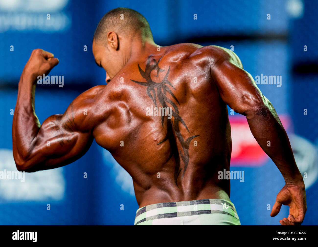 Las Vegas, Nevada, USA. 19th Sep, 2015. ANDRE ADAMS competes in the Men ...