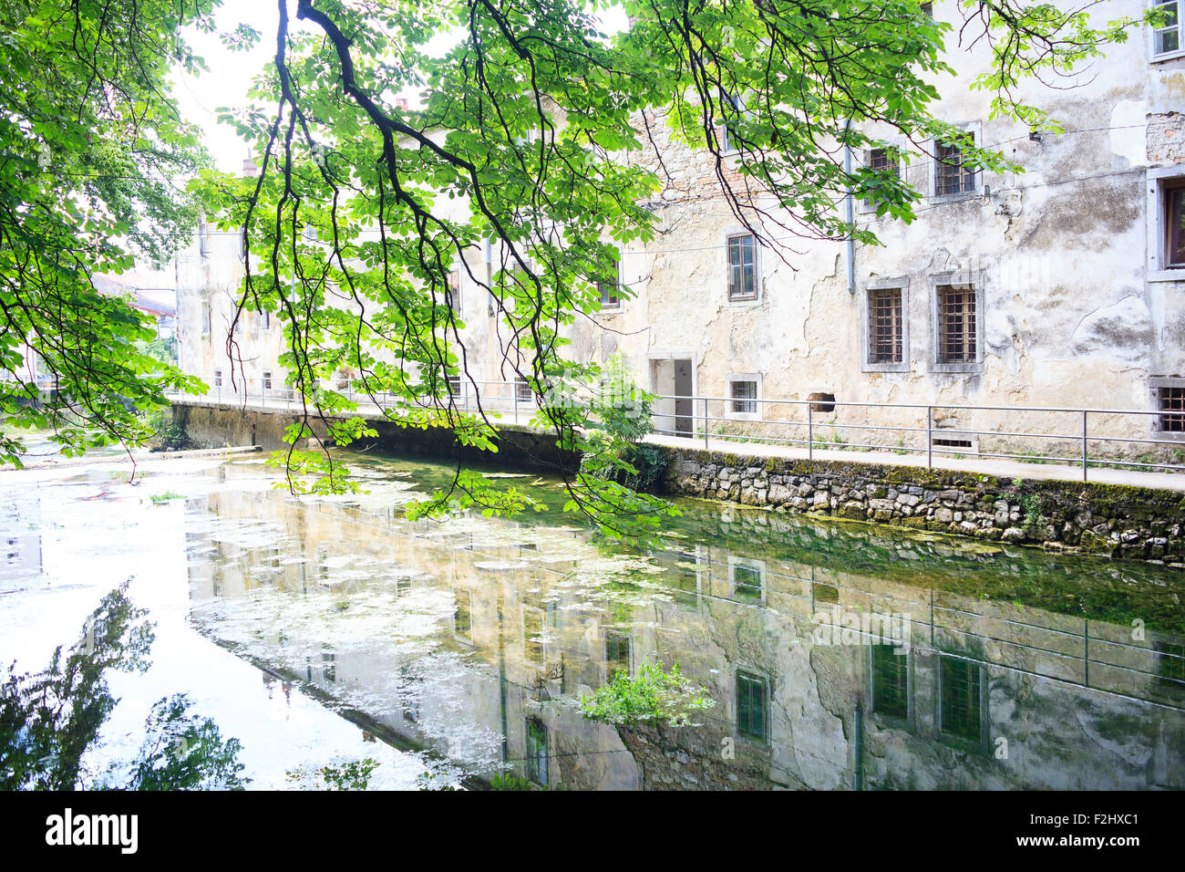 View of the Vipava river in Slovenia Stock Photo - Alamy