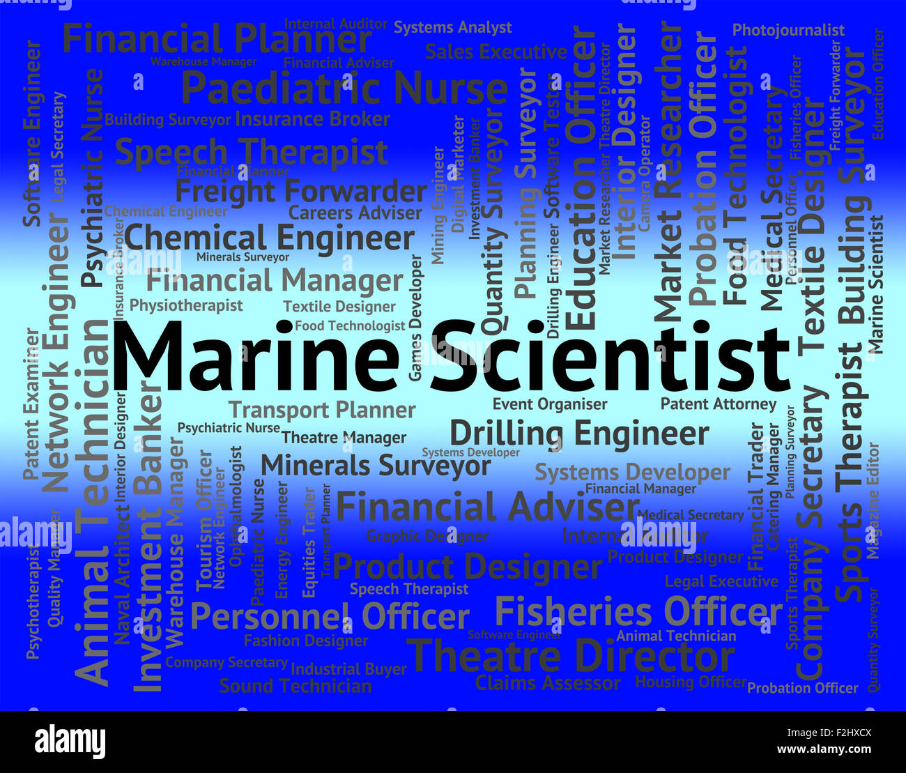 Marine Scientists At Work