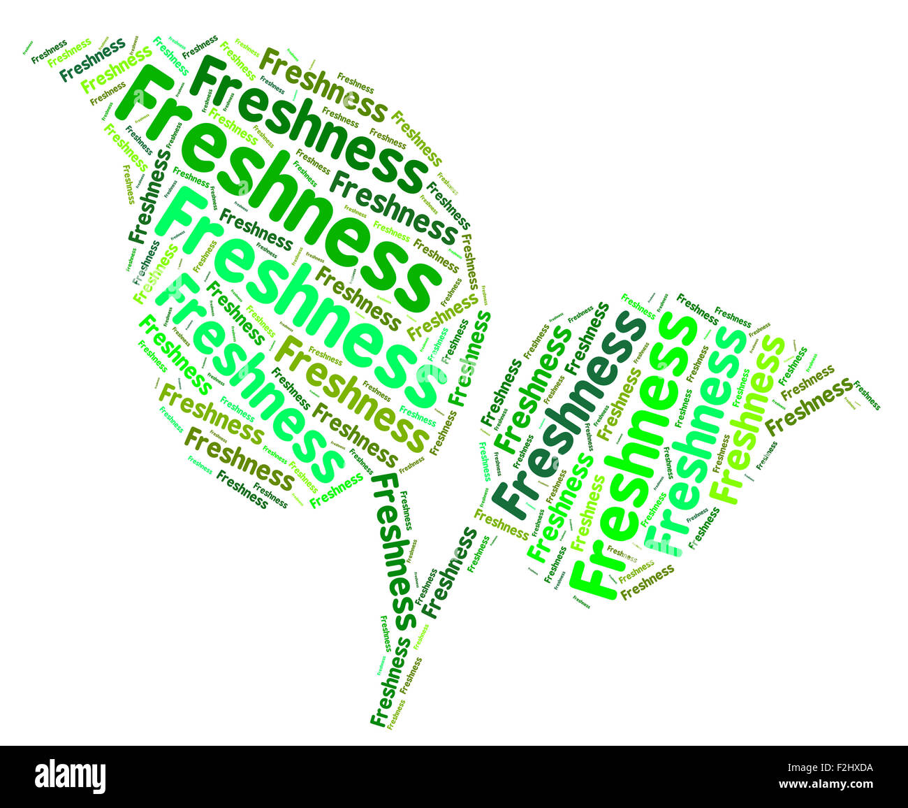 Freshness Word Indicating New Freshly And Natural Stock Photo - Alamy