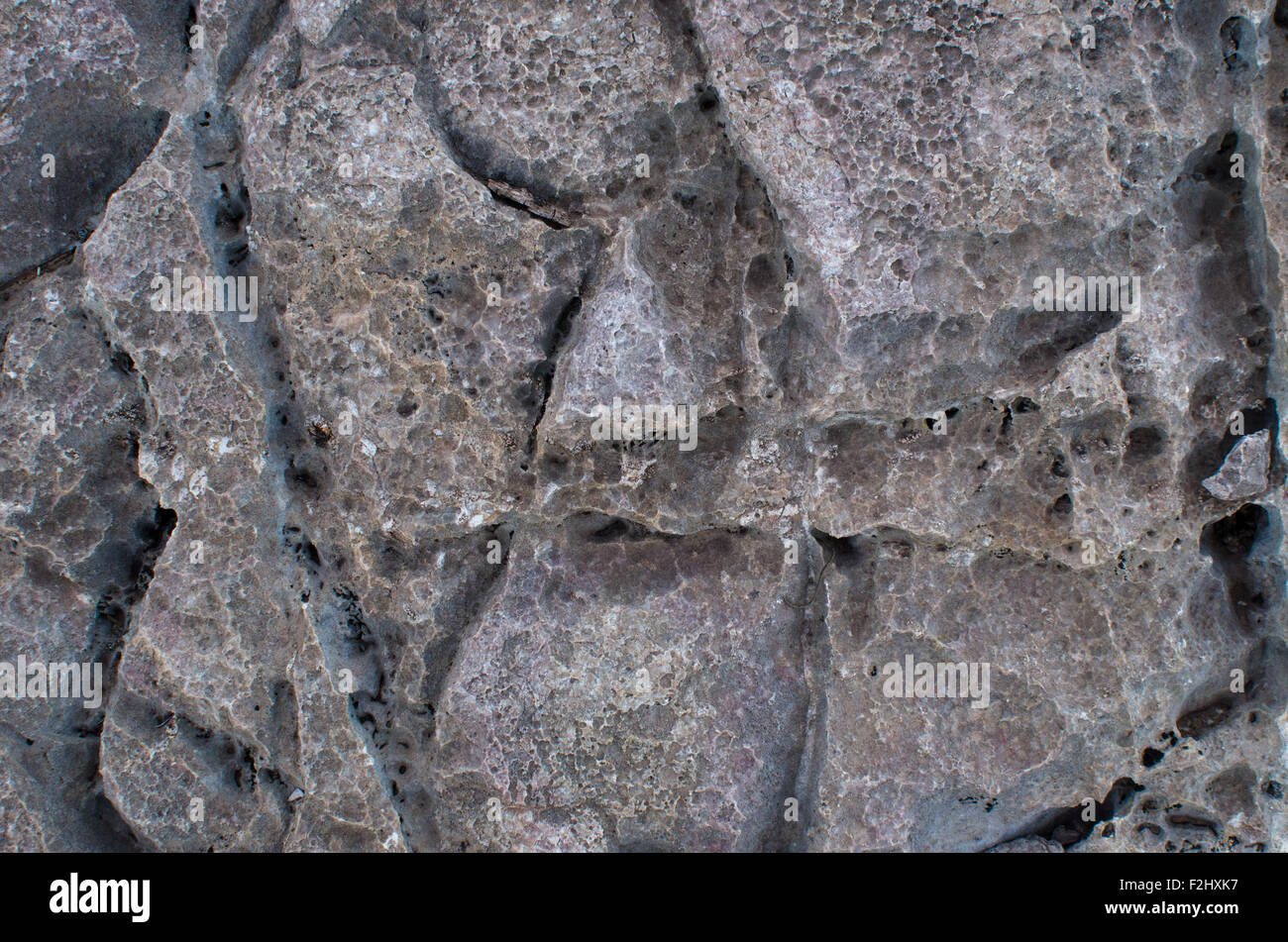Limestone texture hi-res stock photography and images - Alamy