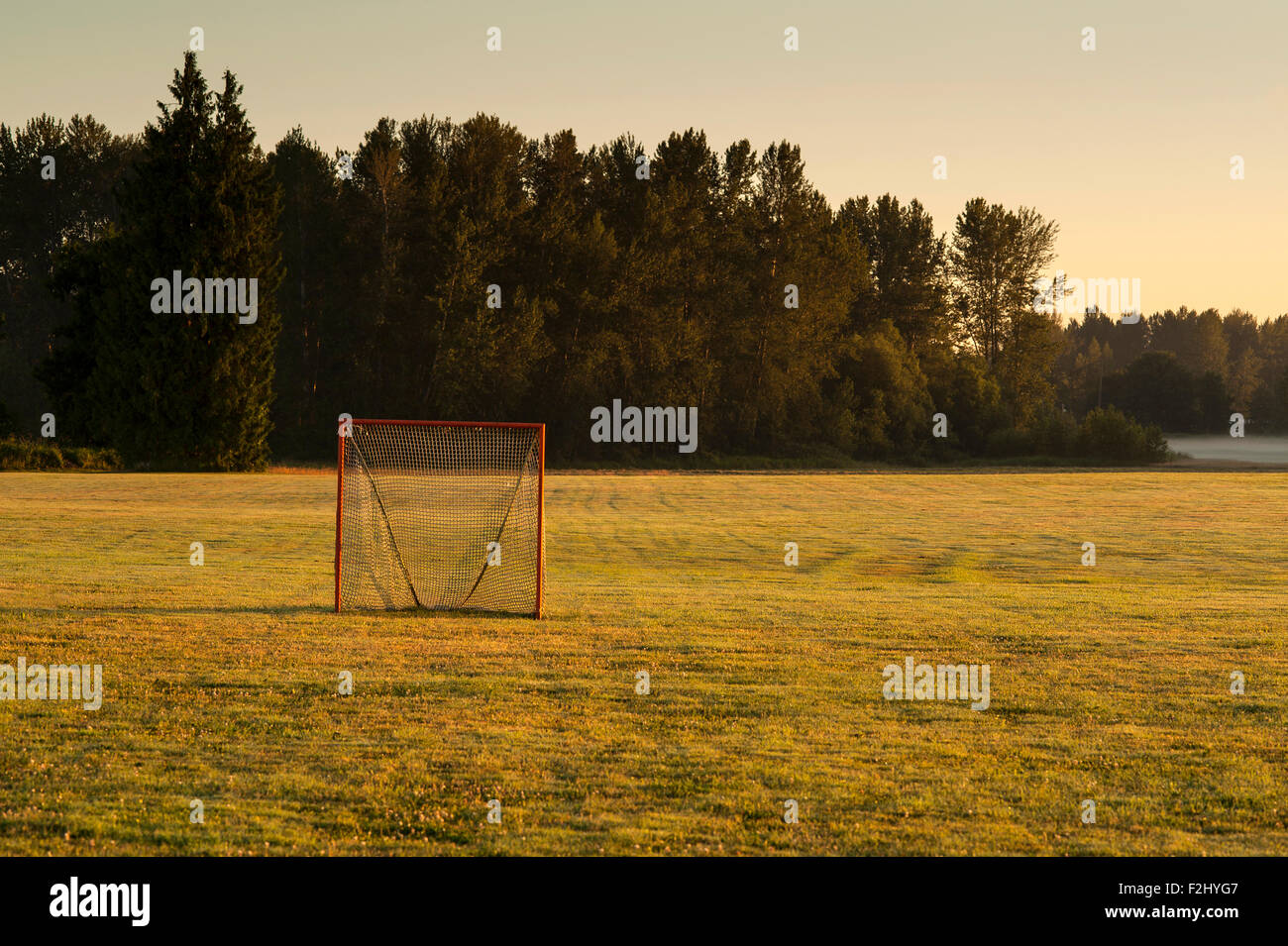 Sports field early morning hi-res stock photography and images - Alamy