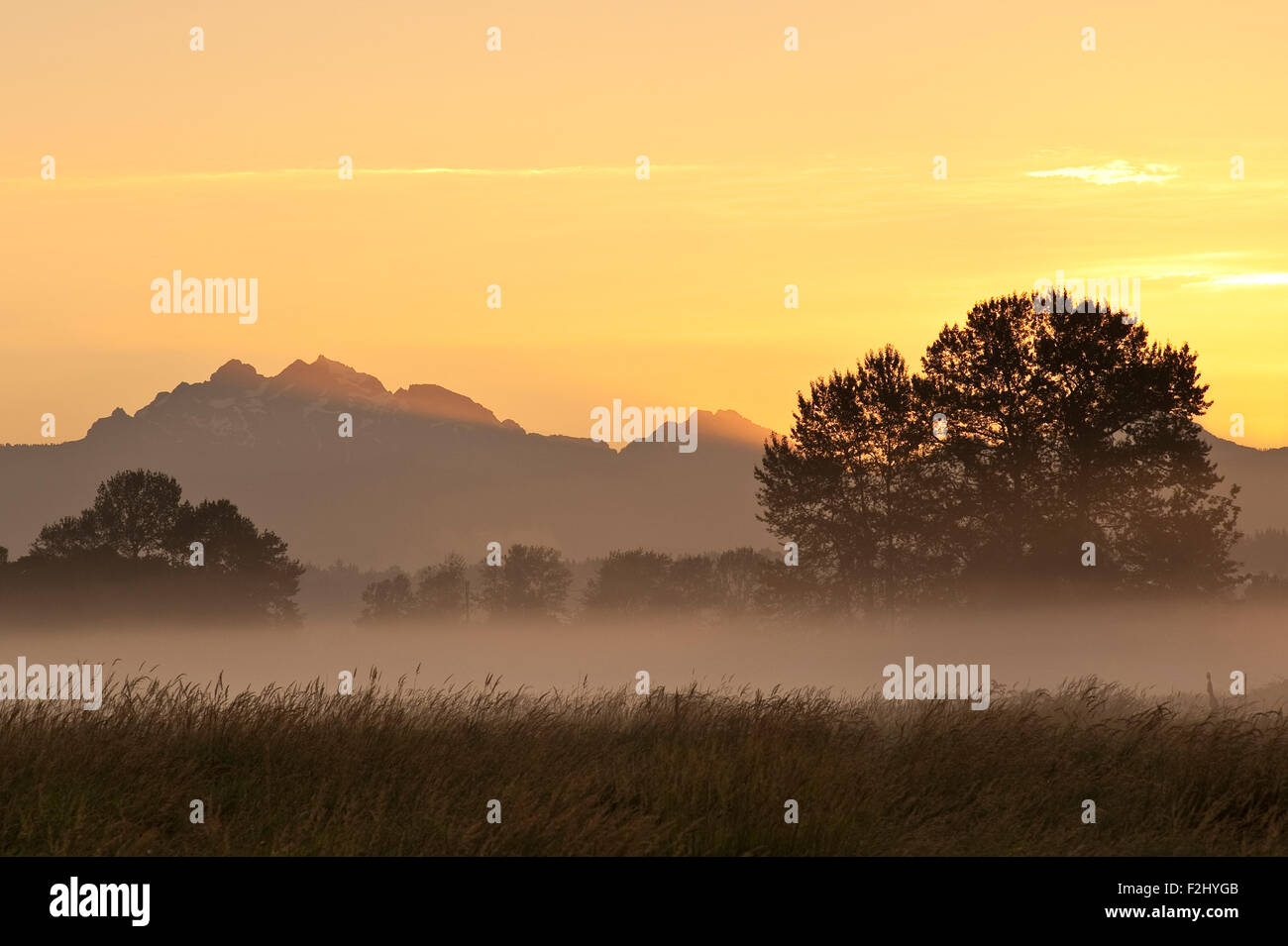 Valley fog with silhouetted trees and Cascade Mountain range at sunrise ...