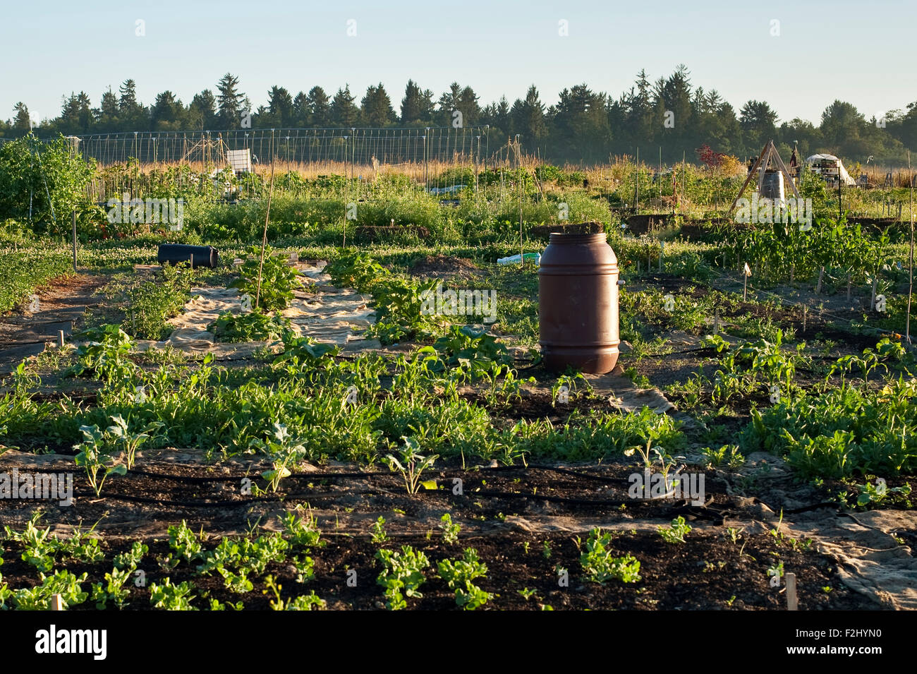 Sunrise in valley with community vegetable garden Stock Photo - Alamy