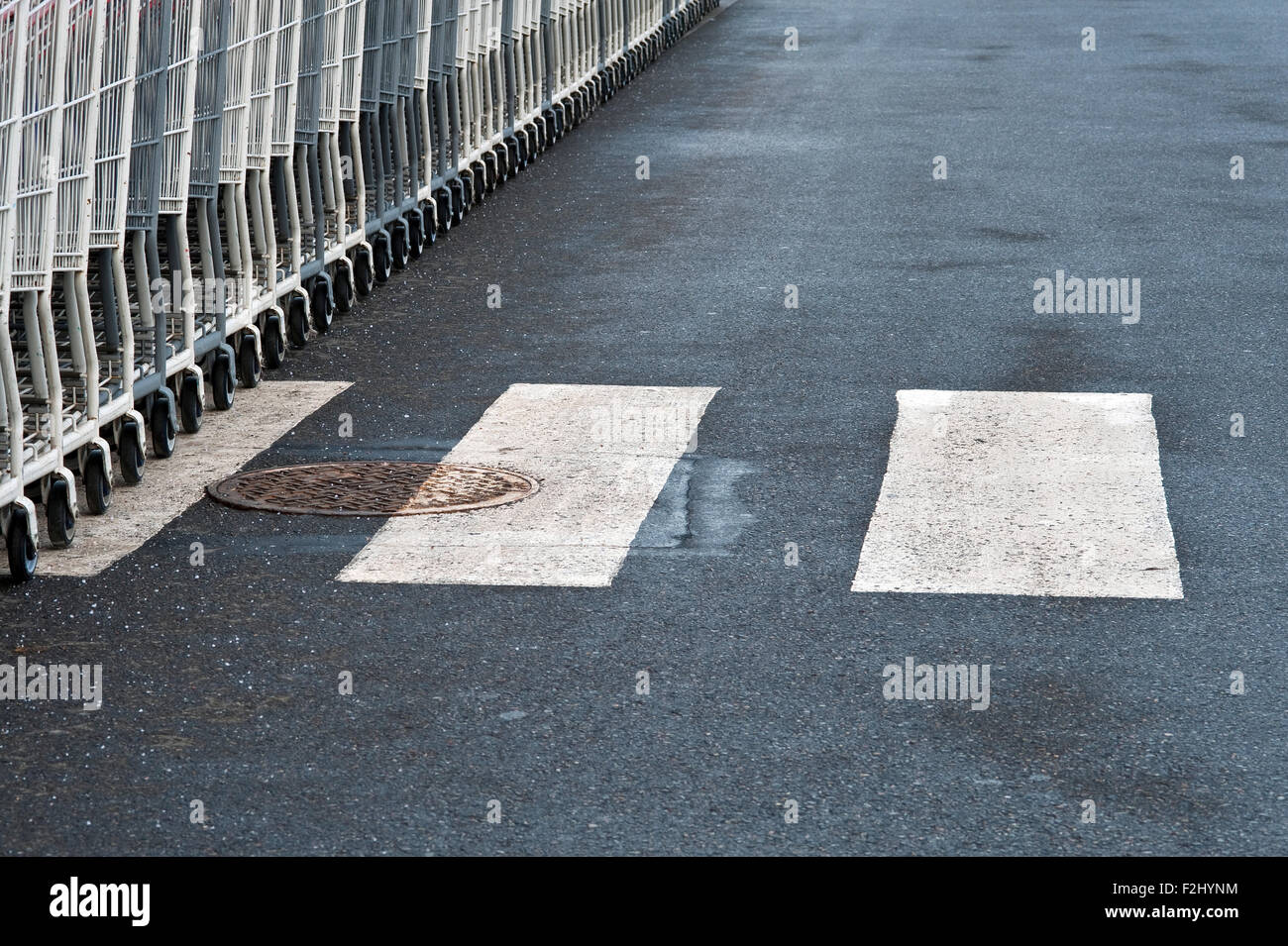 Rows of shopping carts outside store patterns of metal with crosswalk ...
