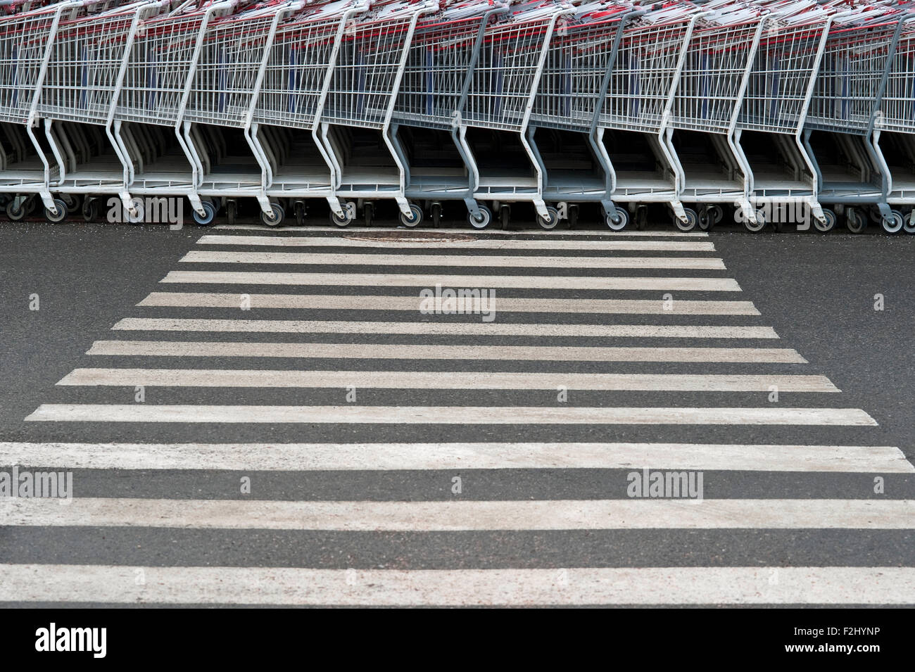 Rows of shopping carts outside store patterns of metal with crosswalk ...