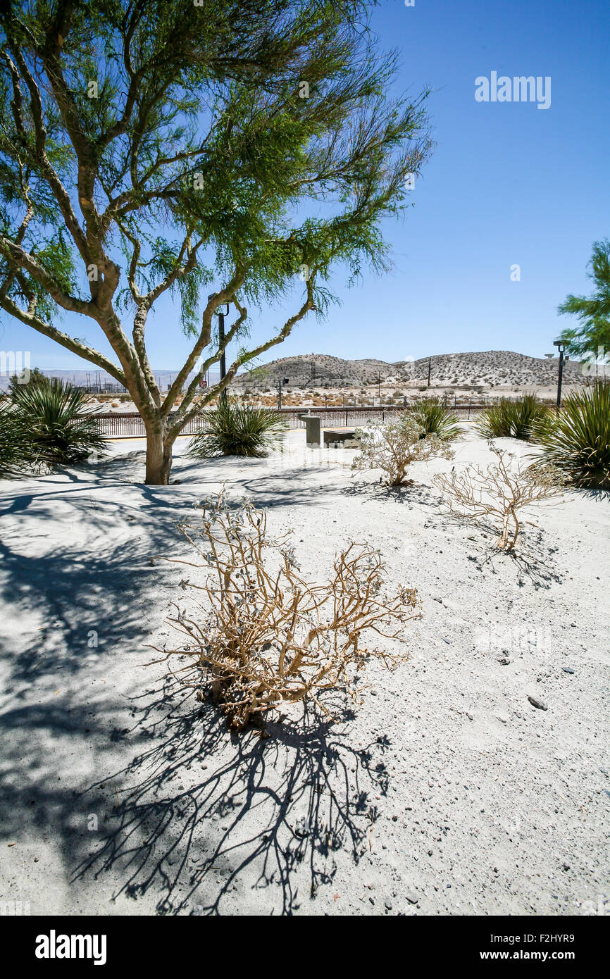 resting place in nature Stock Photo - Alamy