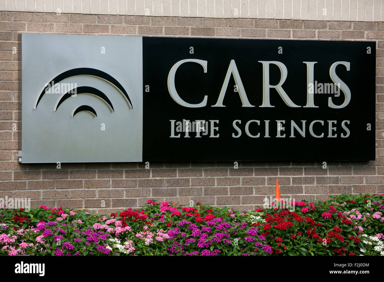 A logo sign outside of the headquarters of Caris Life Sciences in ...