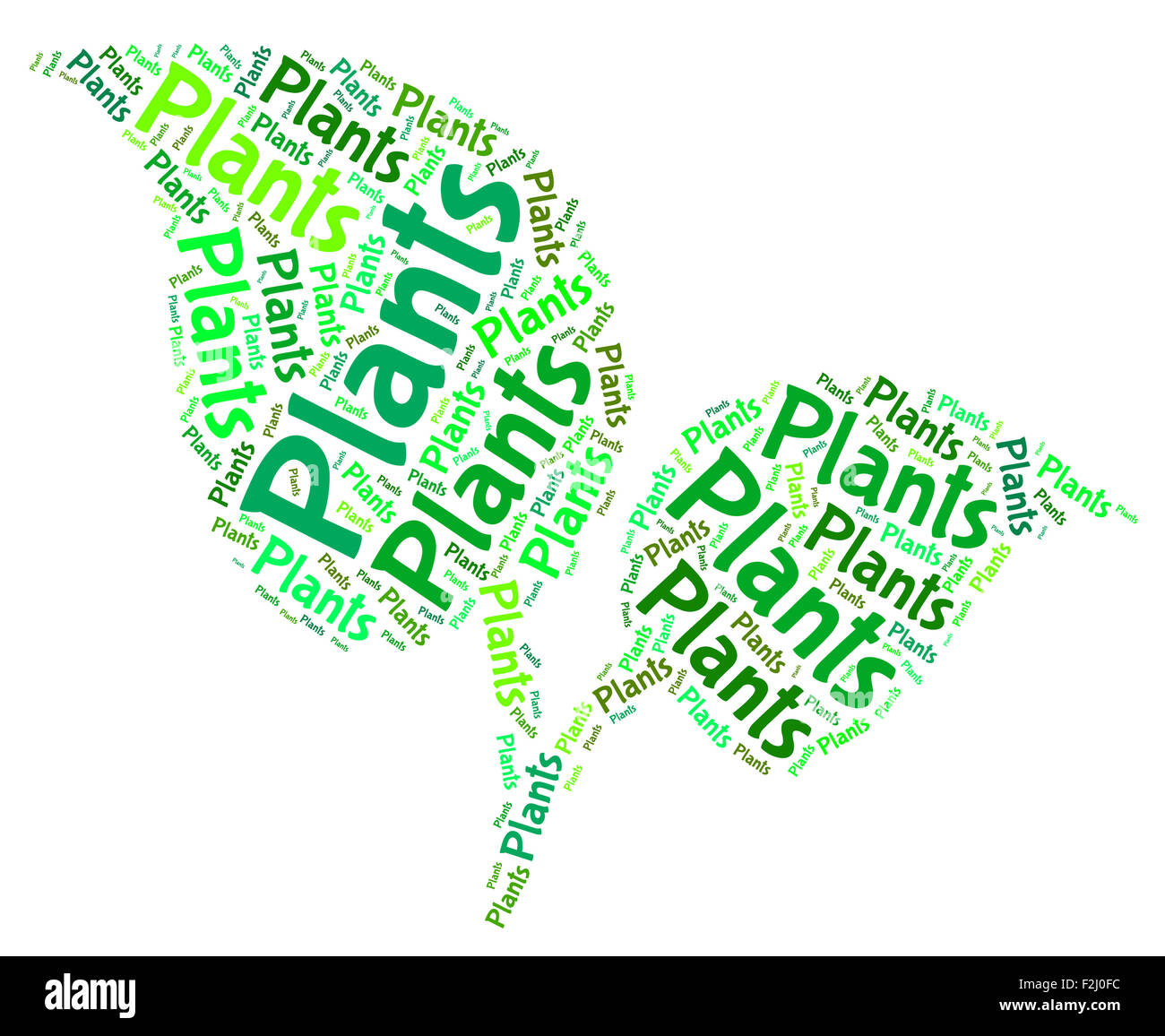Plants Word Representing Foilage Botany And Text Stock Photo - Alamy