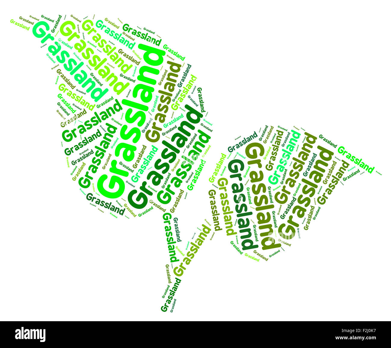 Grassland Word Indicating Words Prairies And Field Stock Photo - Alamy