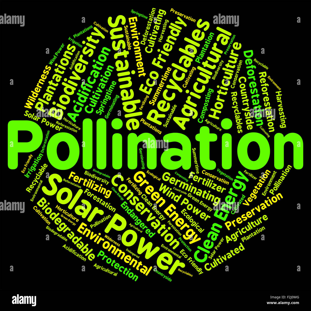 Pollination Word Indicating Breeds Text And Pollinates Stock Photo - Alamy