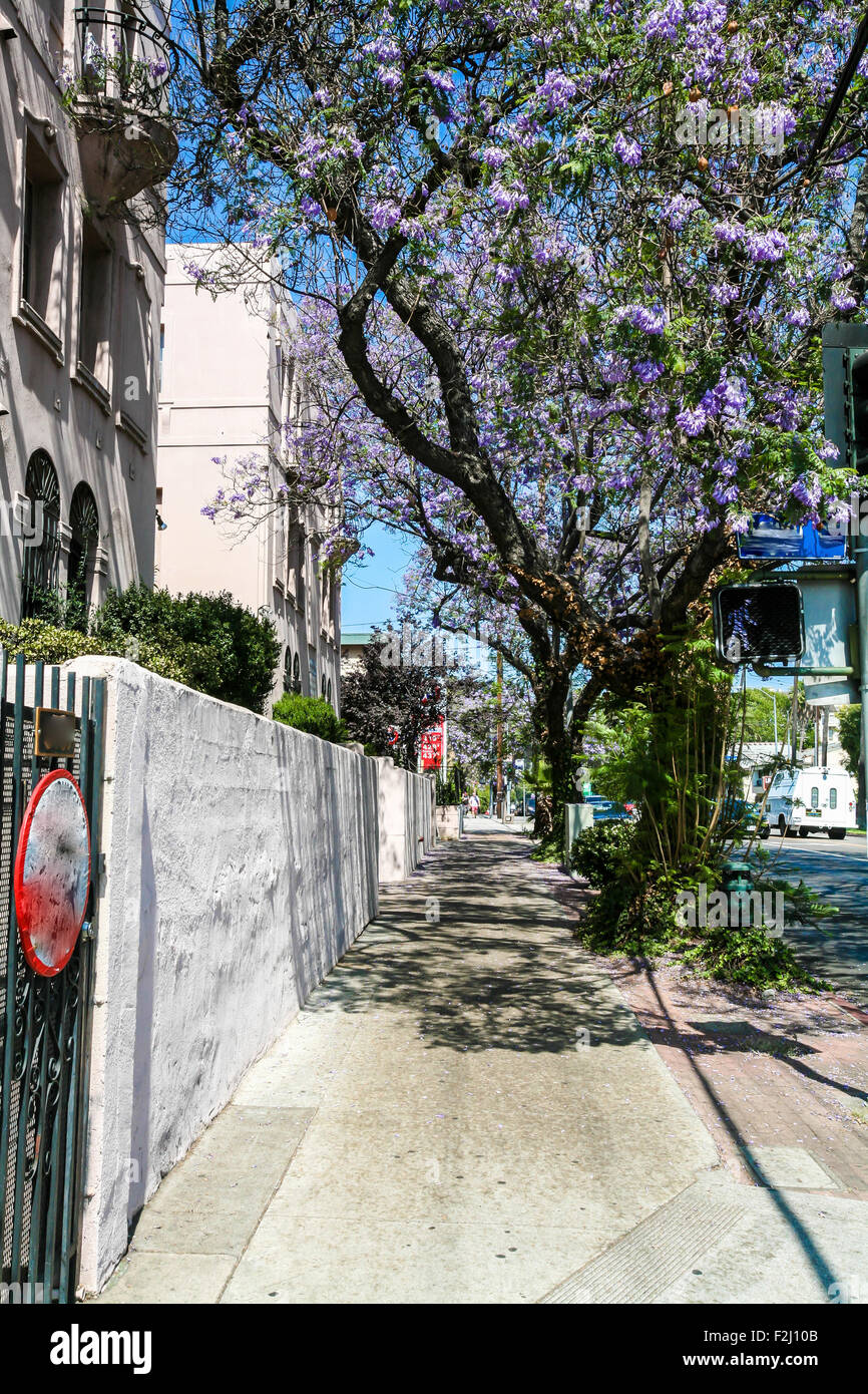 street, city, tourist attractions Stock Photo - Alamy