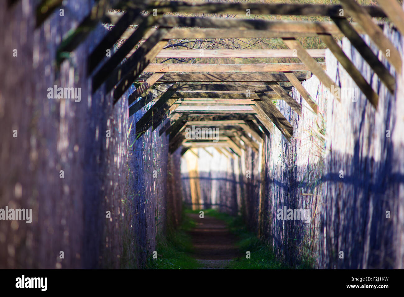 Wooden tunnel hi-res stock photography and images - Alamy