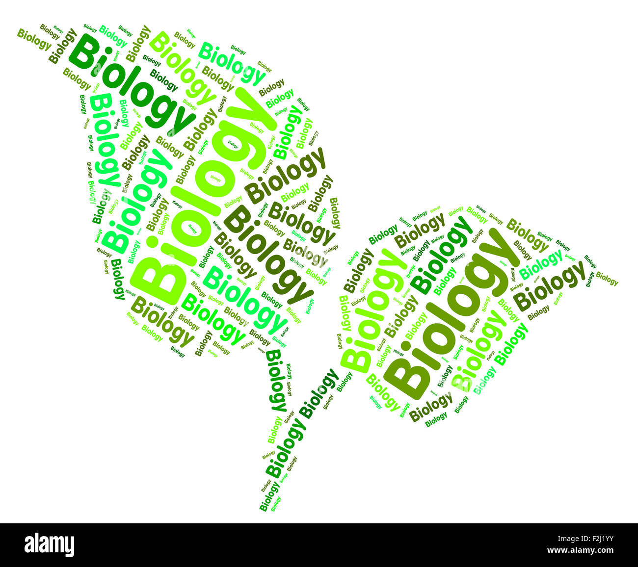 Biology Word Showing Animal Kingdom And Creature Stock Photo - Alamy