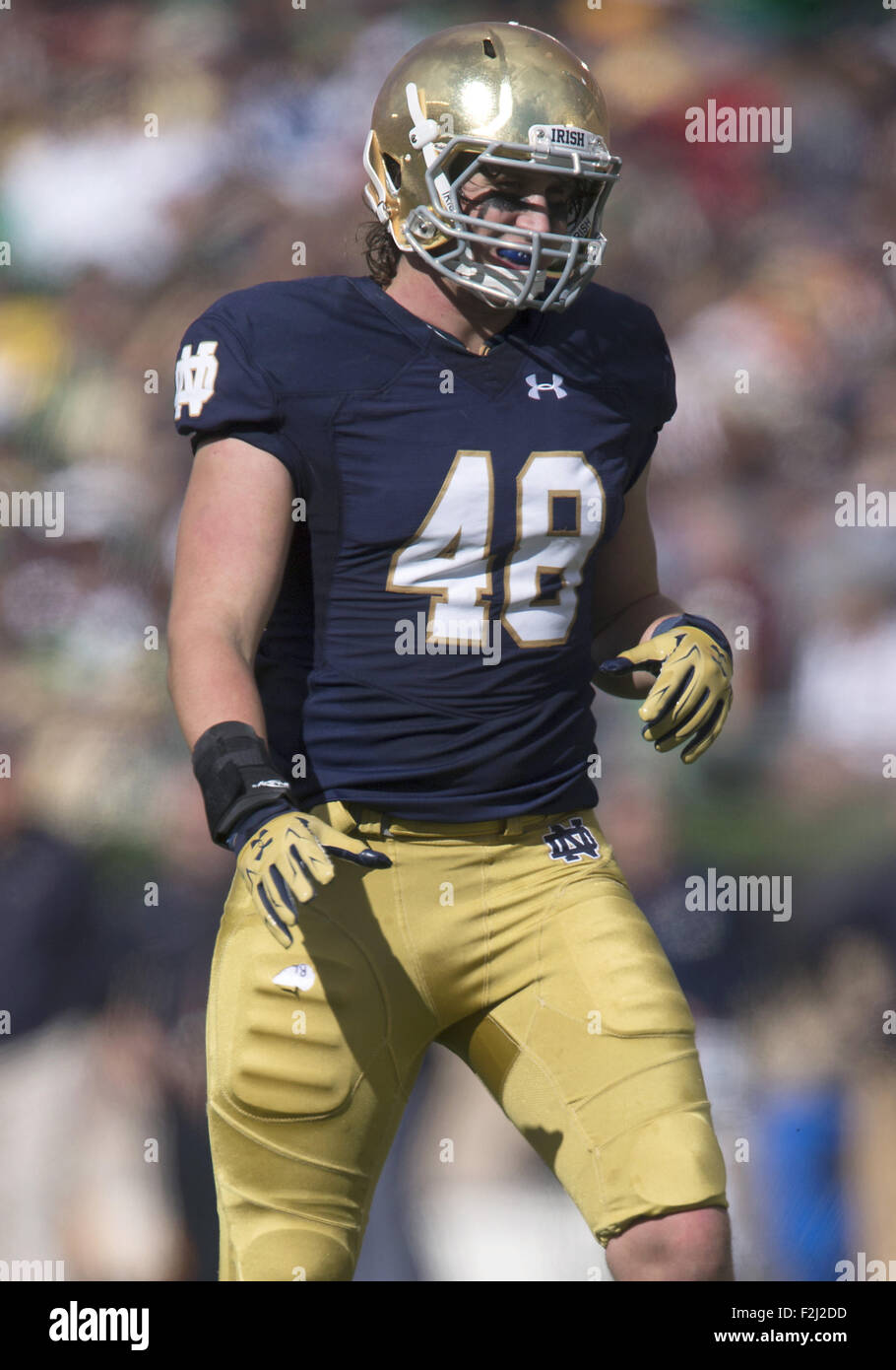 Greer martini hi-res stock photography and images - Alamy