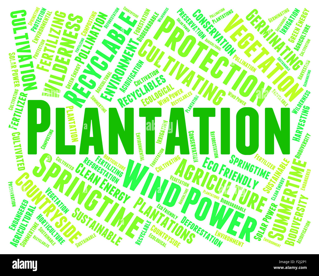 Plantation Word Showing Cultivation Farmland And Agriculture Stock ...
