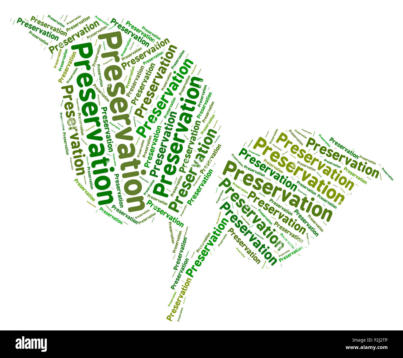 Preservation Word Representing Earth Friendly And Ecological Stock ...