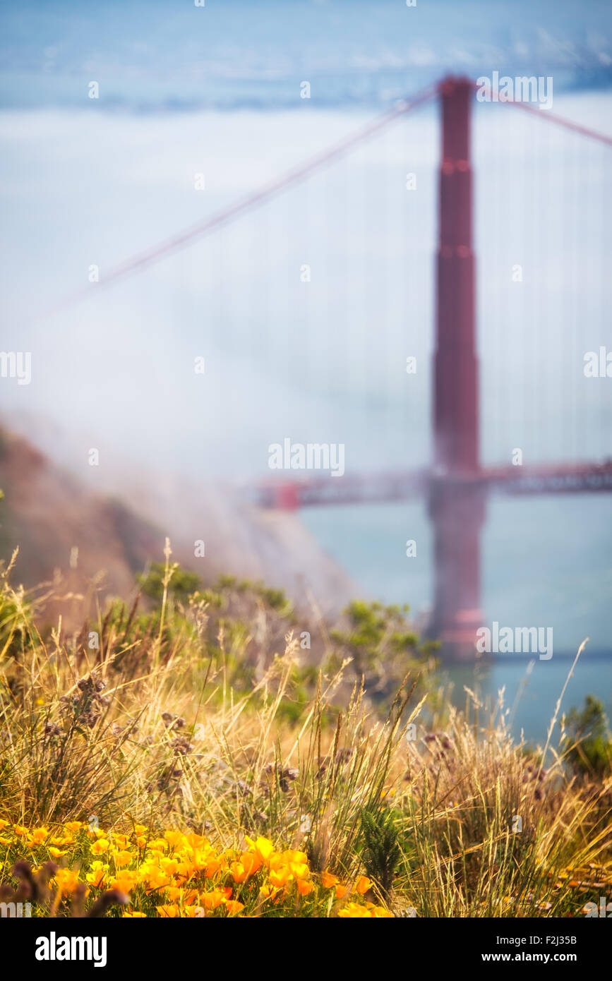 Bridge over the Pacific ocean, Golden Gate Bridge, San Francisco Bay ...