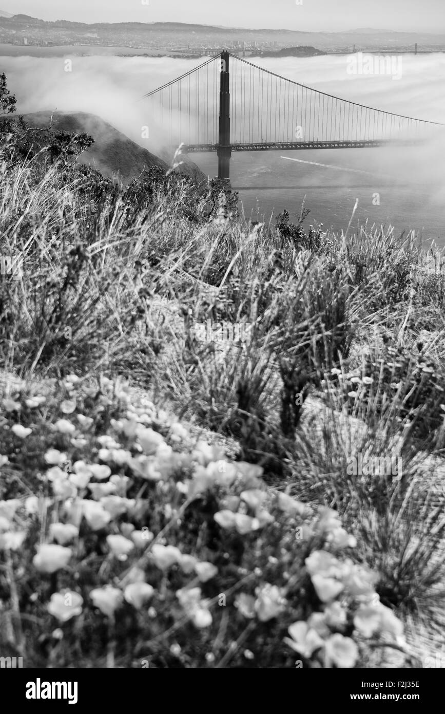 Bridge over the Pacific ocean, Golden Gate Bridge, San Francisco Bay ...