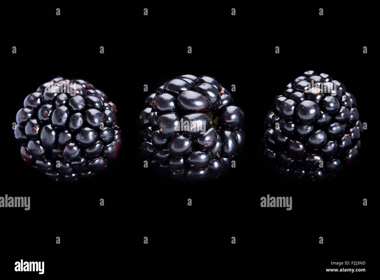 Blackberry fruit closeup isolated on black background Stock Photo - Alamy