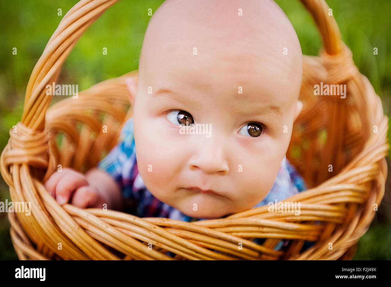 Portrait of a little boy in the basket - close-up, outdoors Stock Photo ...