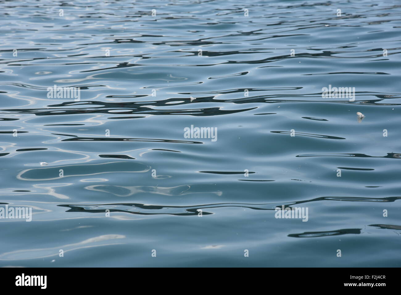 Serene water hi-res stock photography and images - Alamy