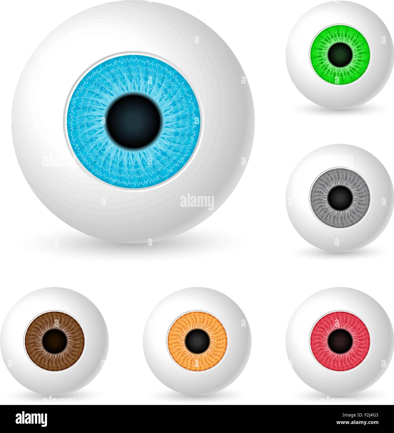 Human eyeballs set on white background. Vector illustration Stock ... Human eyeballs set on white background. Vector illustration Stock ...