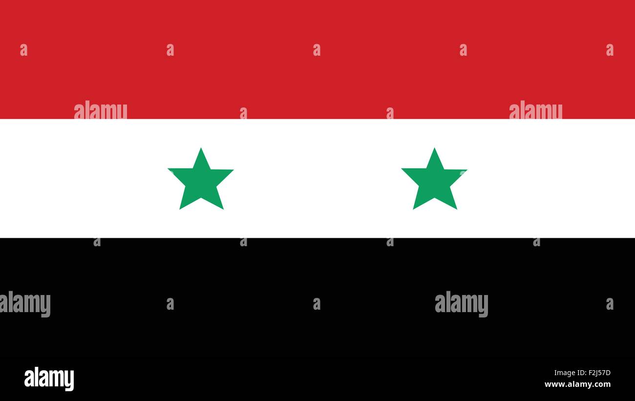 syria Flag for Independence Day and infographic Vector illustration ...