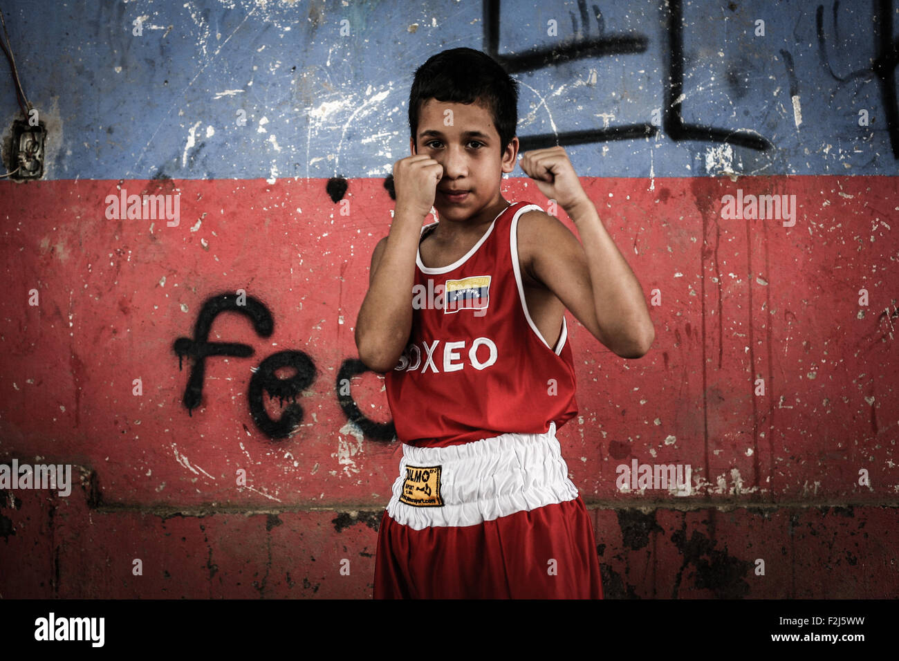 Miranda, Venezuela. 19th Sep, 2015. Boxer Justin, 12 years old, poses ...